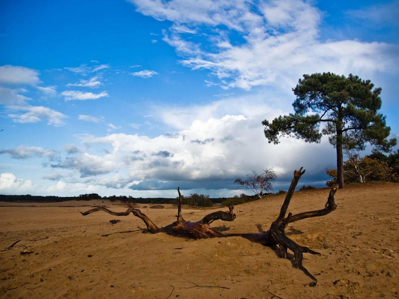 DRUNEN DRU-454 (40 personen) Noord-Brabant (Nederland) - GROEPEN.NL