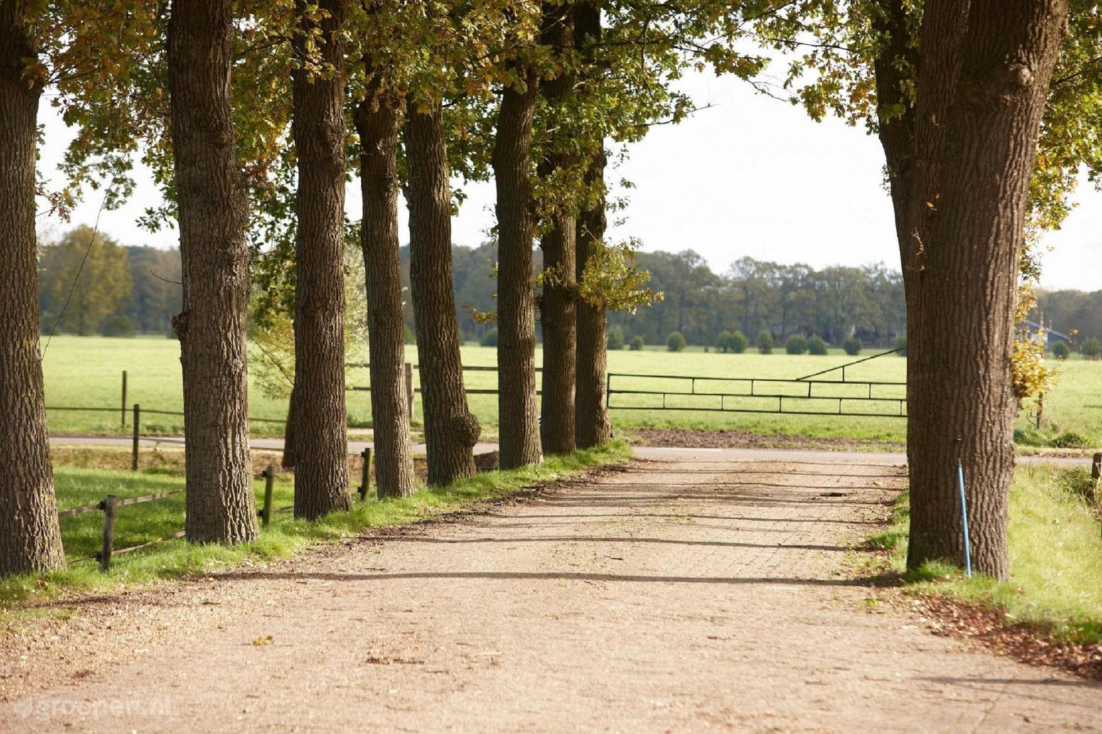 Groepsaccommodaties in Maarsbergen - GROEPEN.NL