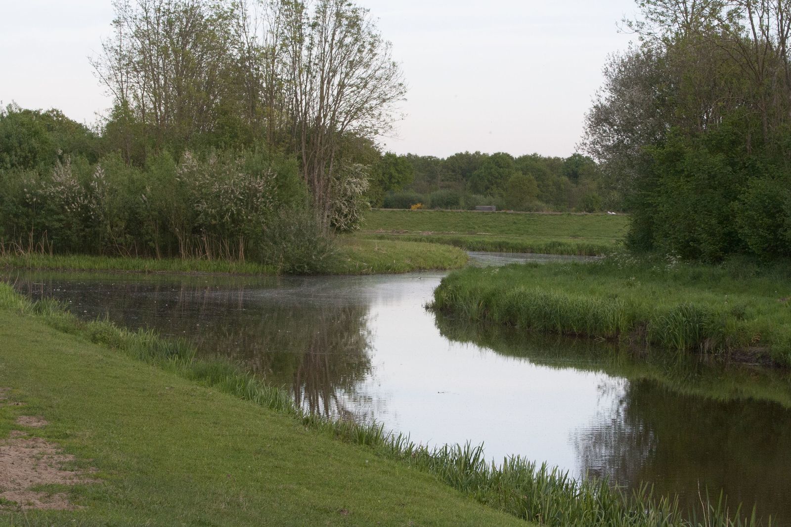 Groepsaccommodaties in Rekken